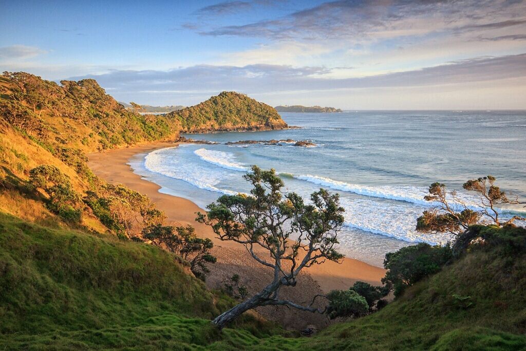Daisy Bay 2, Tutukaka Coast - NZ Landscape Prints